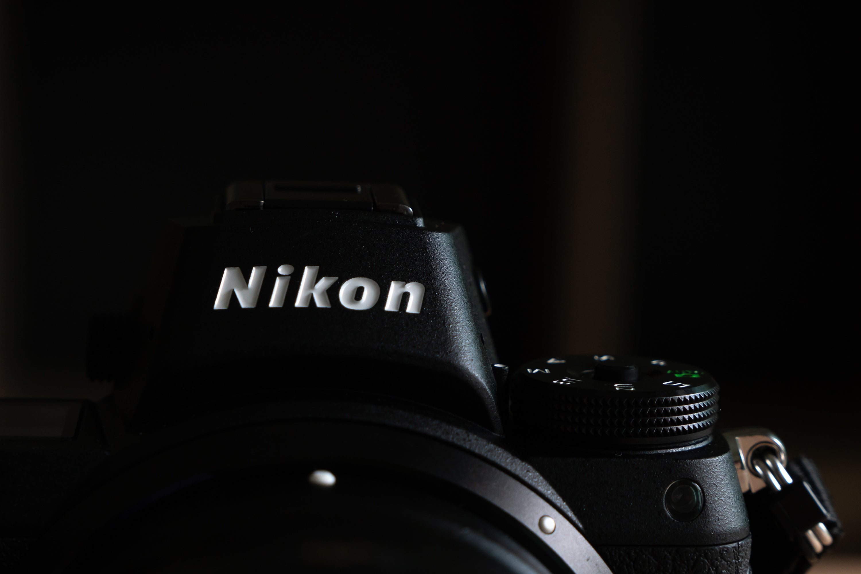 Nikon Digital Camera Collection – PerfeFilm